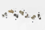 premium green tea extract infusion