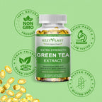 premium green tea extract supplement