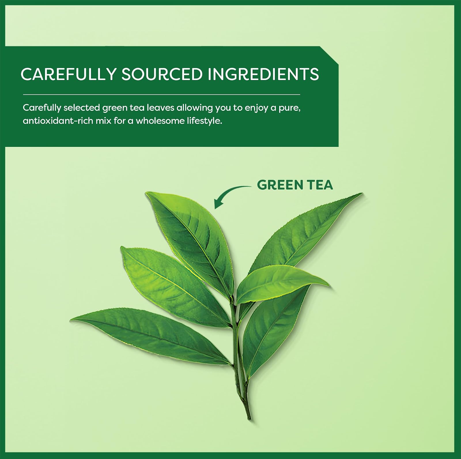premium green tea for energy