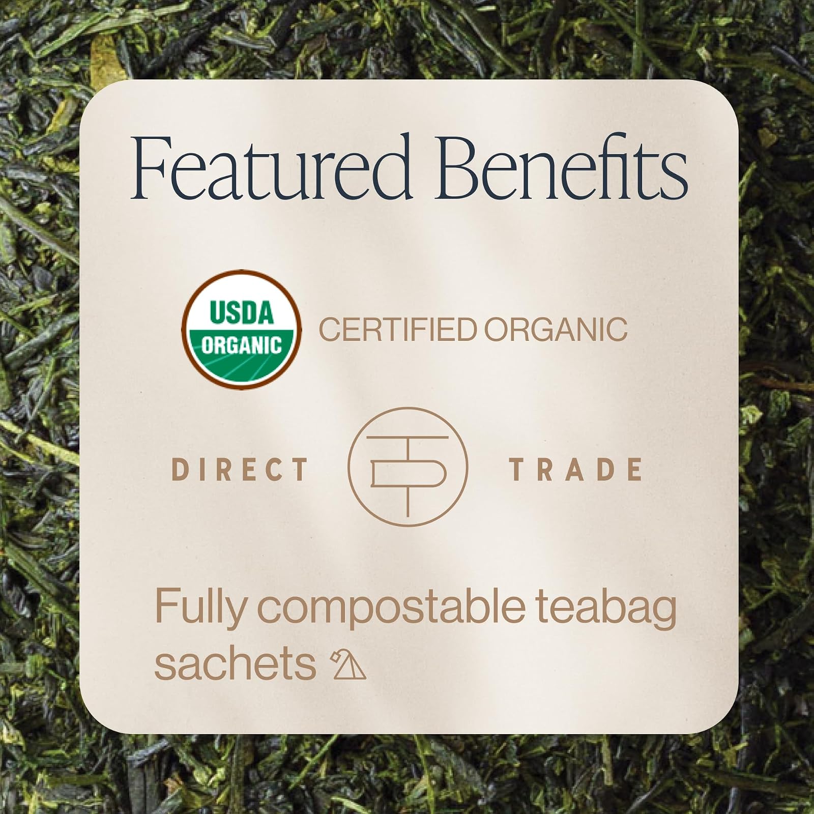 premium green tea sachets for brewing