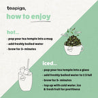 premium green tea with mint infusion