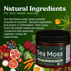 premium greens powders for wellness