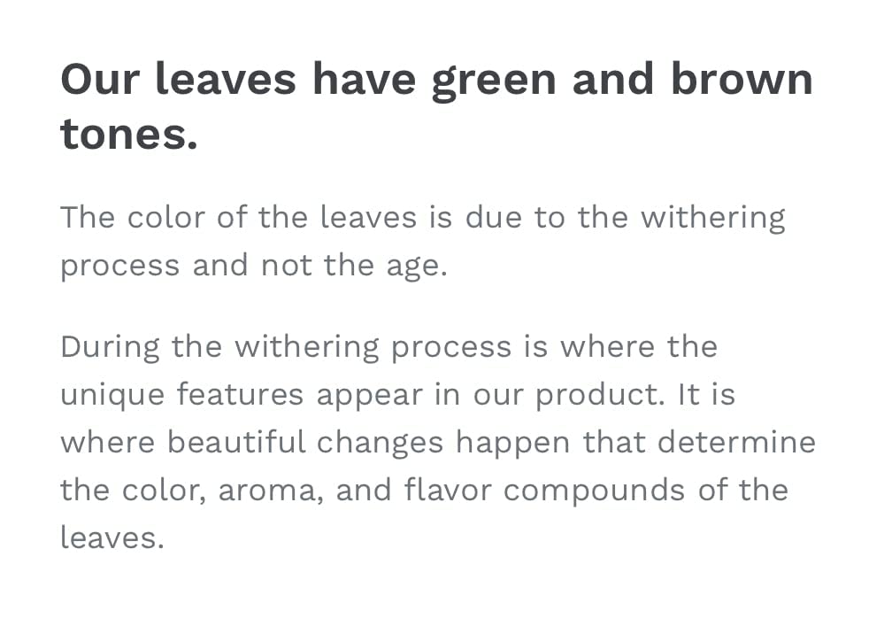 premium Guayusa tea for vitality