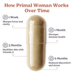 premium gummy multivitamin option