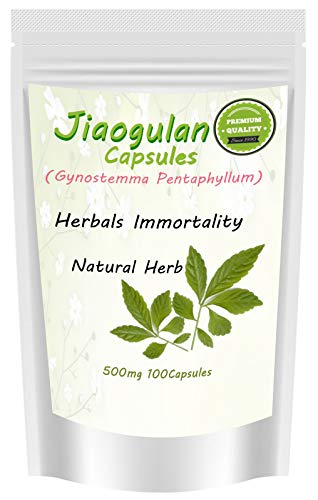 Premium Gynostemma herbal supplement benefits