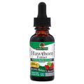 premium hawthorn berry extract