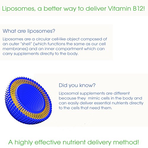 premium herbal curcumin extract