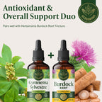 premium herbal Gymnema supplement