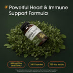 premium herbal olive leaf supplement