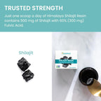 premium herbal shilajit supplement