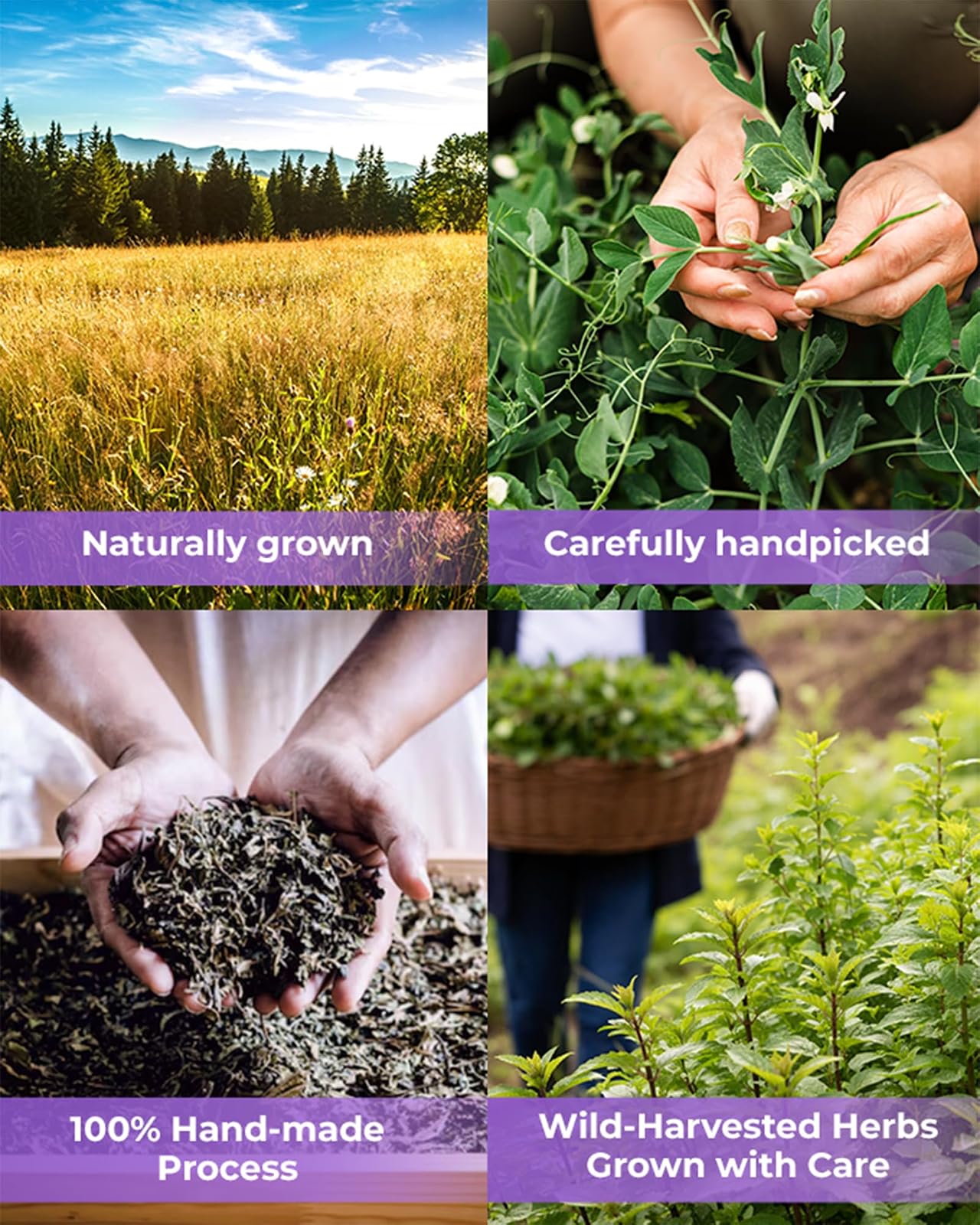 premium herbal tea blend for relaxation