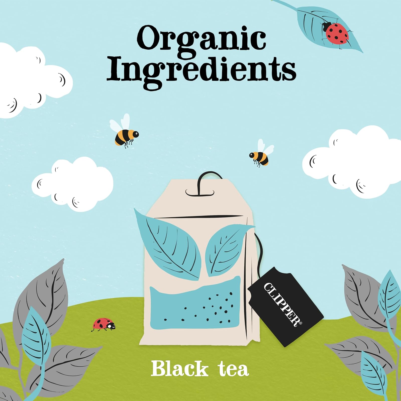 premium herbal tea blend