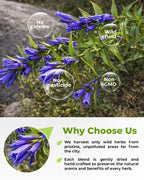 premium herbal tea for health
