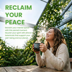 premium herbal tea for wellness