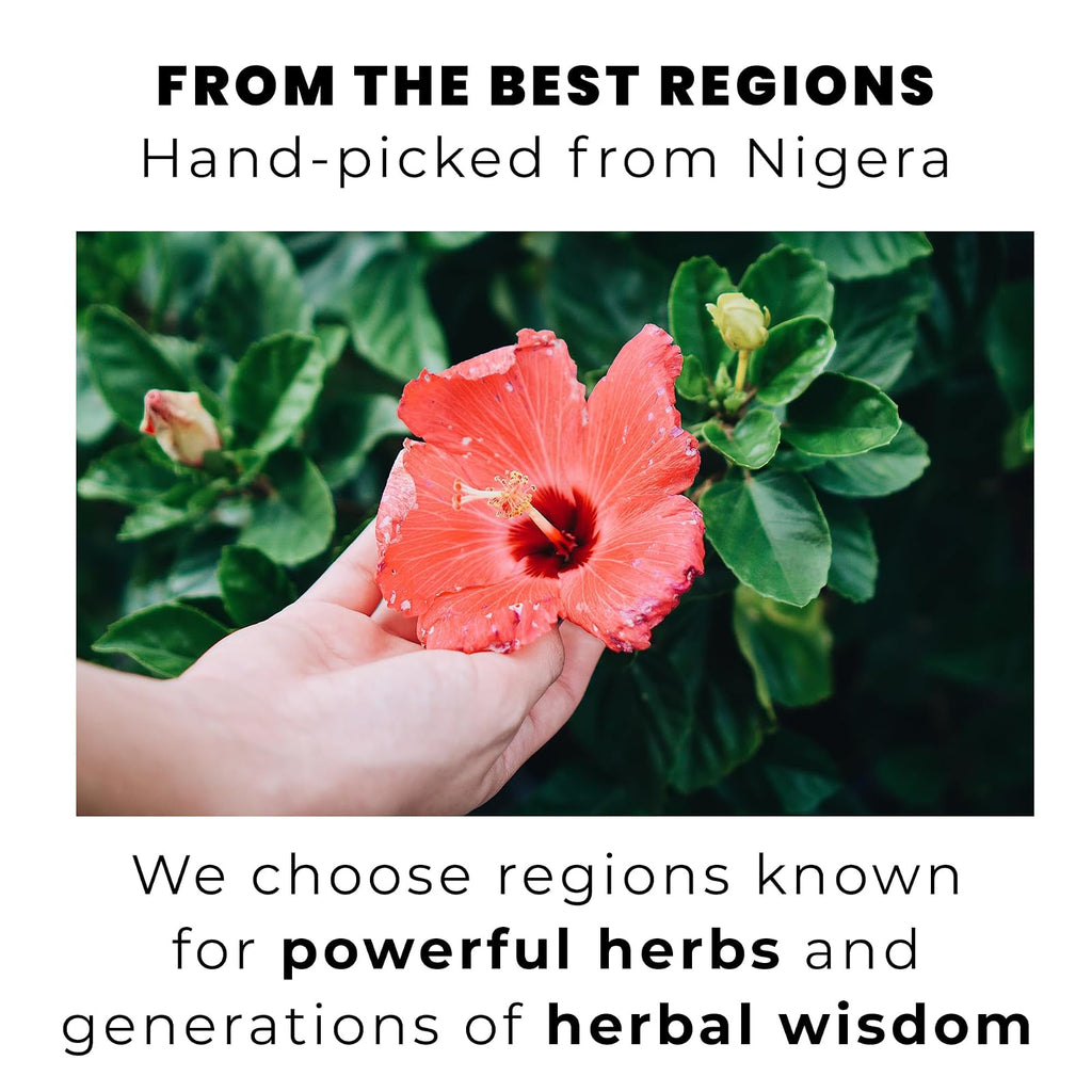 premium hibiscus tea for relaxation