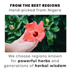 premium hibiscus tea for relaxation