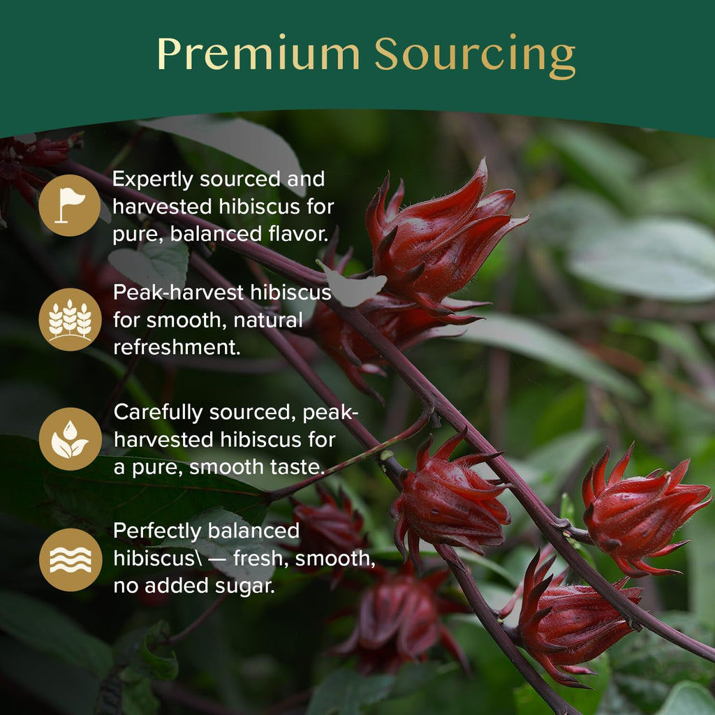 premium hibiscus tea for wellness