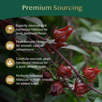 premium hibiscus tea for wellness
