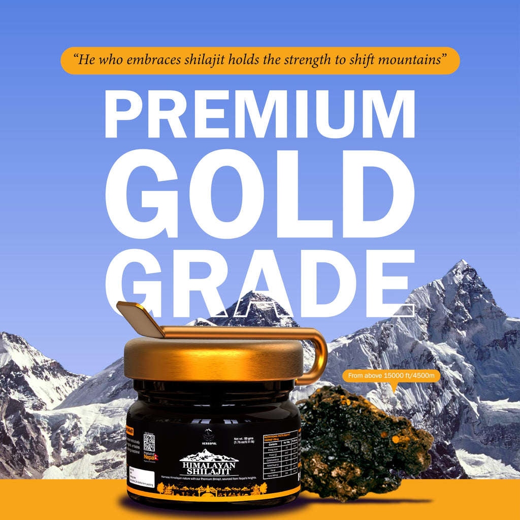 Premium Himalayan Shilajit minerals