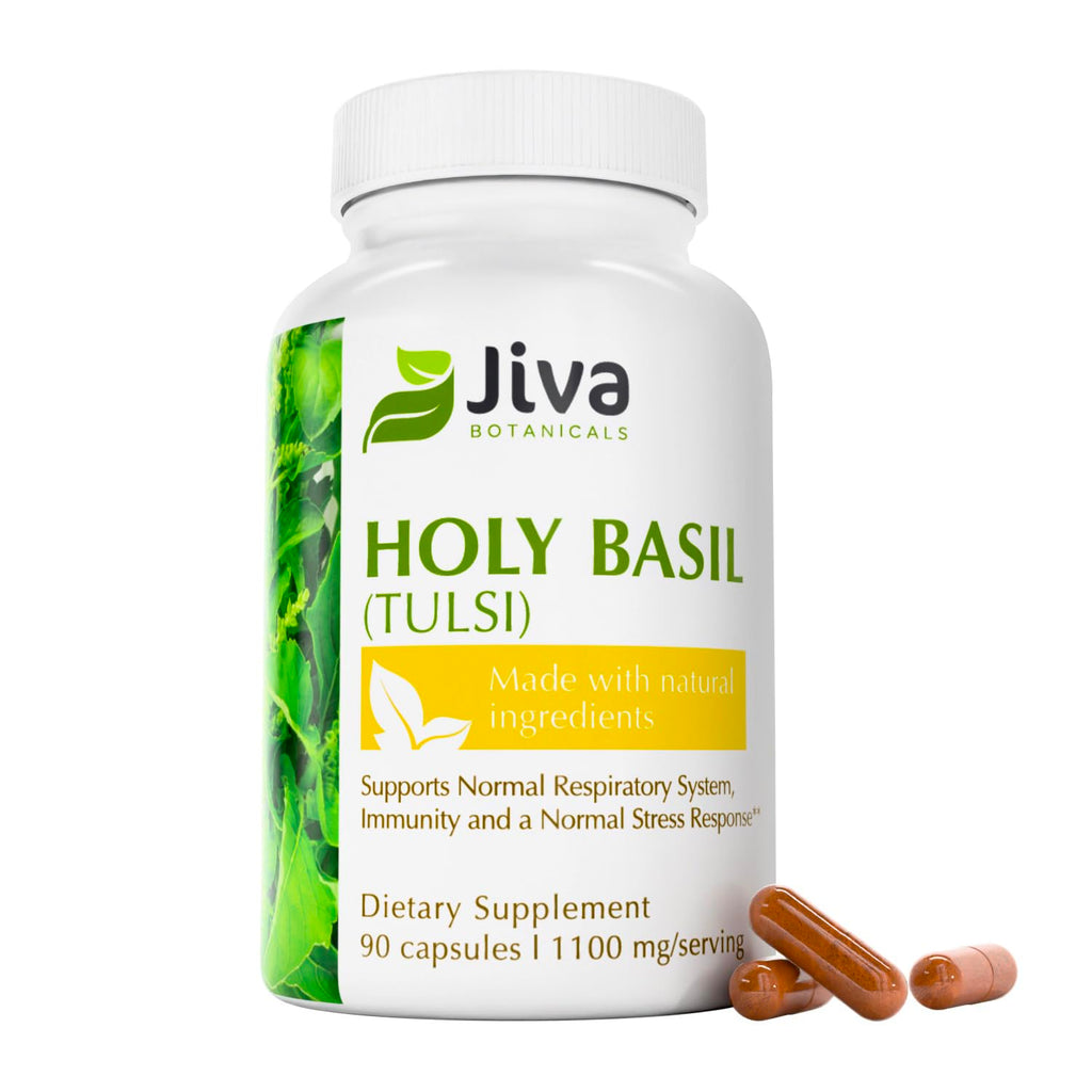premium holy basil capsules for wellness