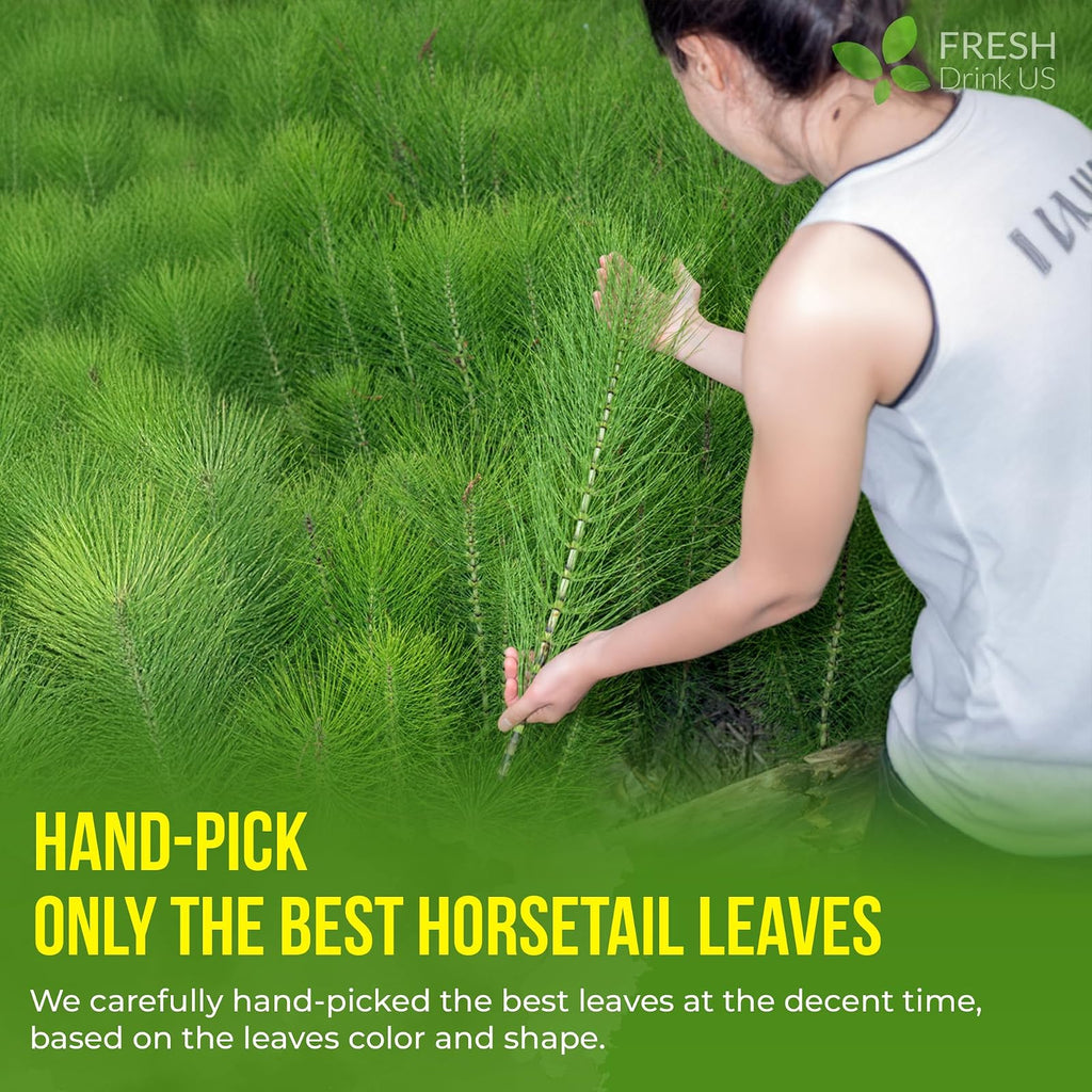 premium horsetail leaf tea bags