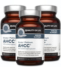 Premium immune support mushrooms
