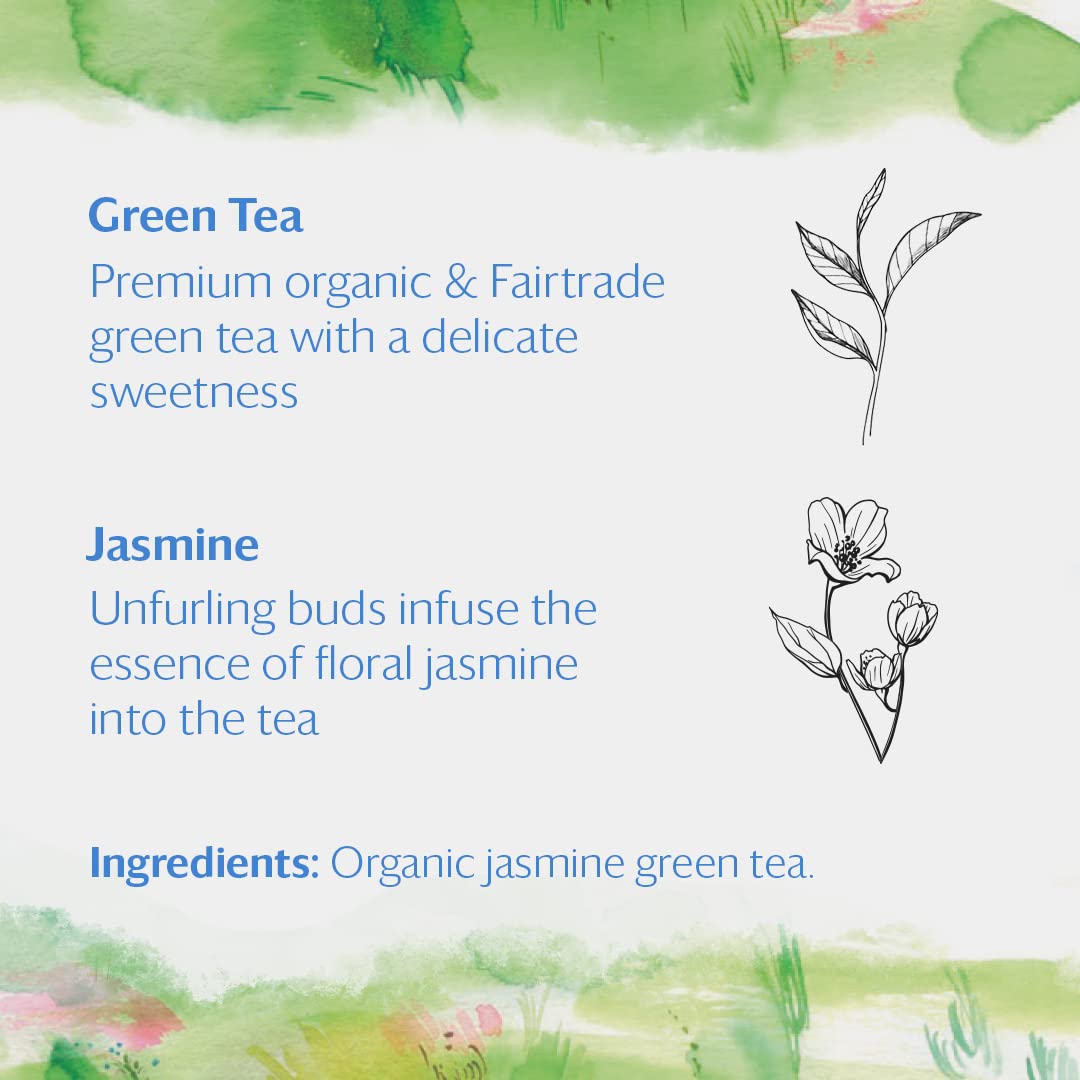 premium jasmine green tea blend