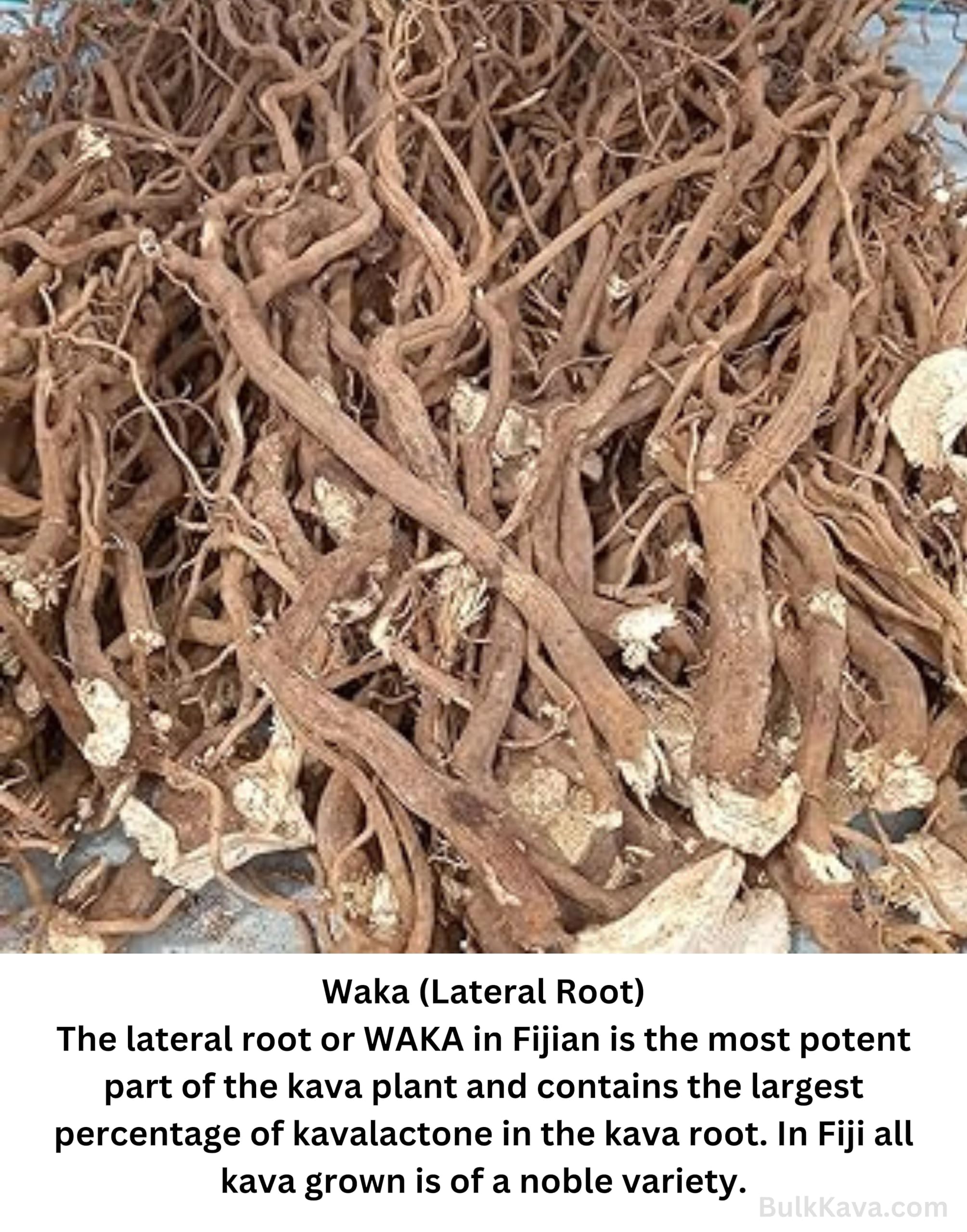 premium kava kava for restful nights