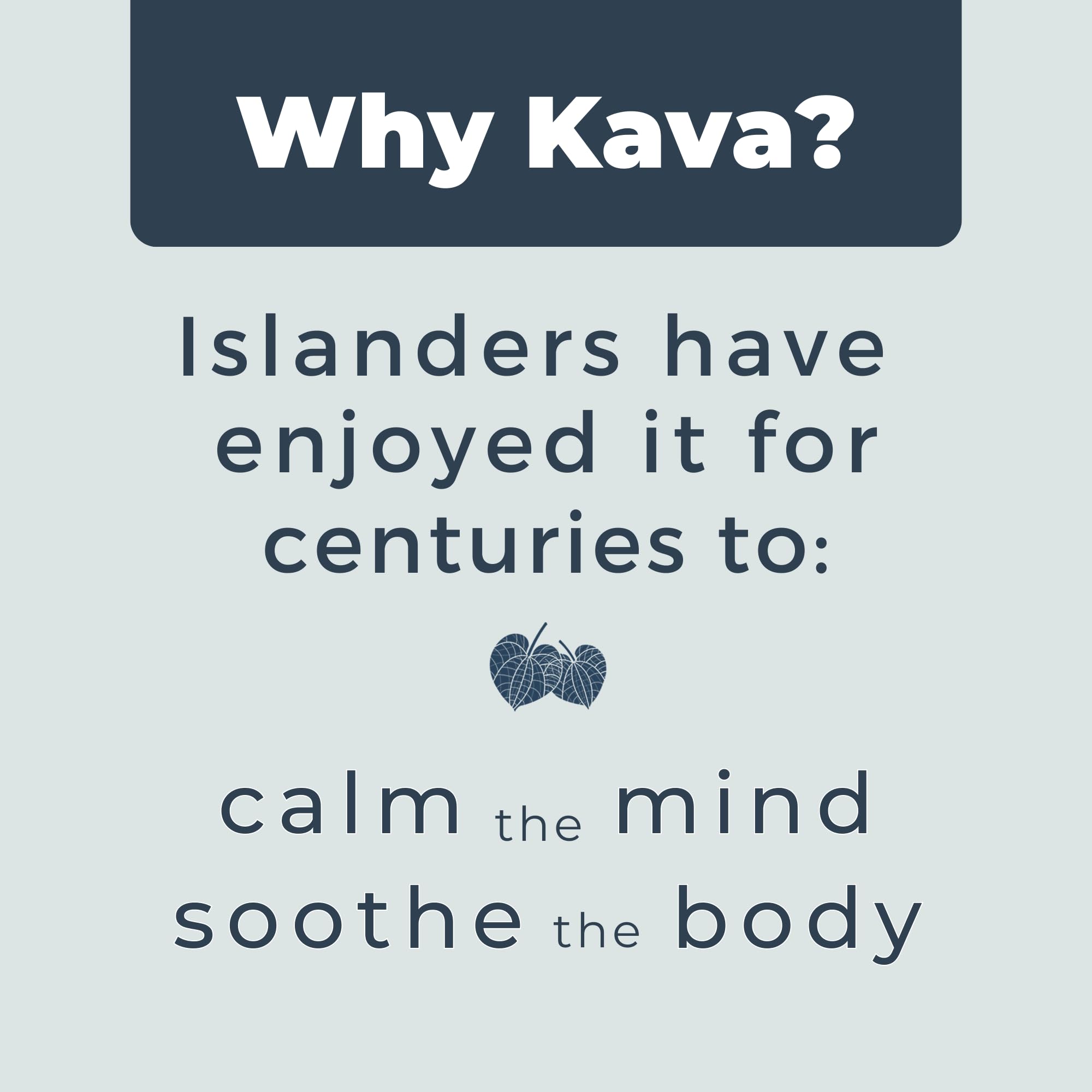 premium kava kava for wellness