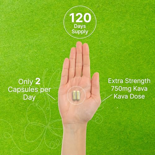 premium kava kava root extract