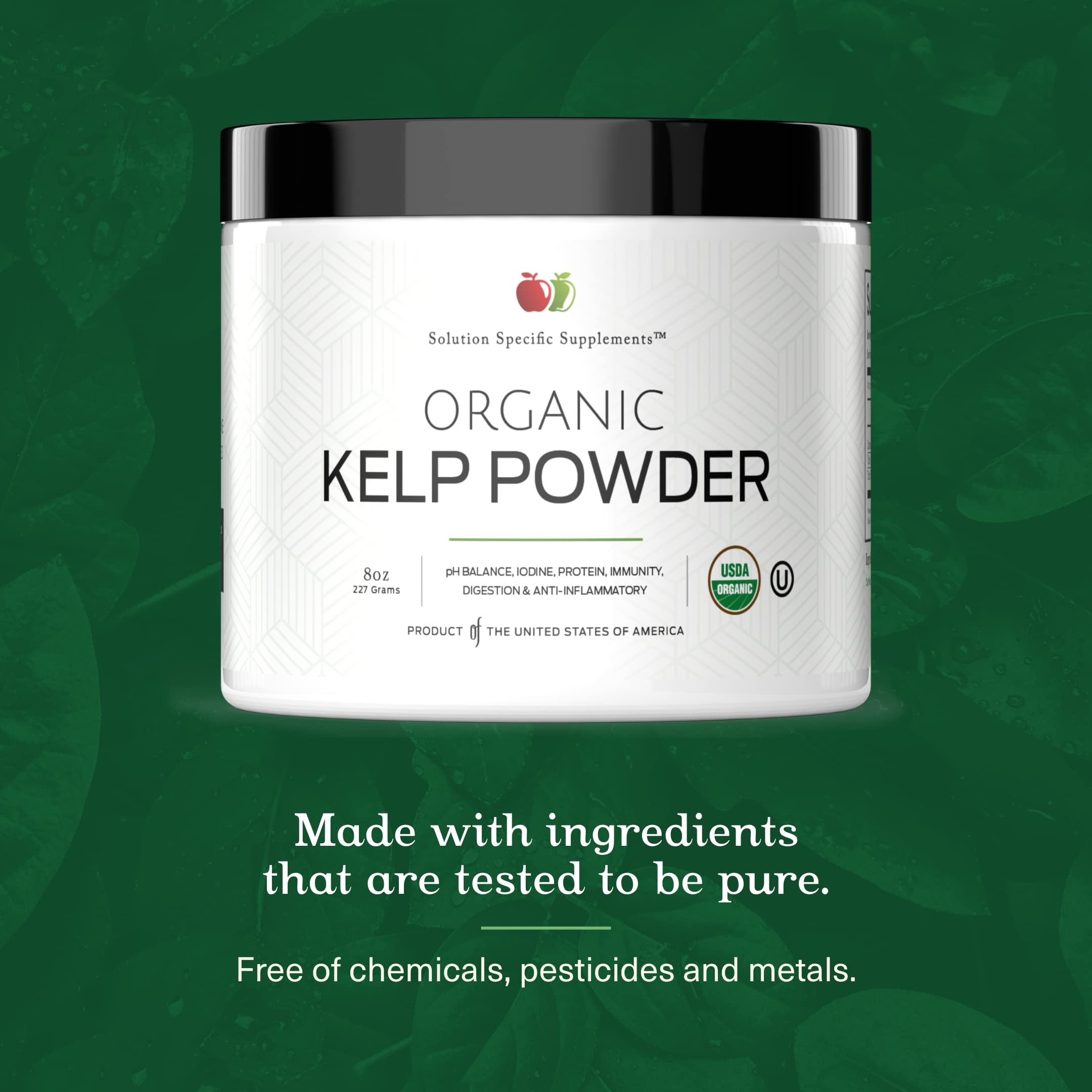 premium kelp powder for immune support