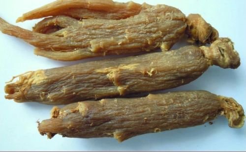 premium Korean red ginseng root