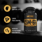 premium ksm-66 ashwagandha extract