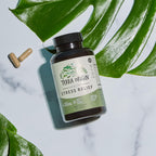 premium KSM-66 ashwagandha for vitality