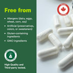 premium l-theanine for daily wellness