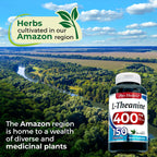 premium l-theanine for enhanced mood support