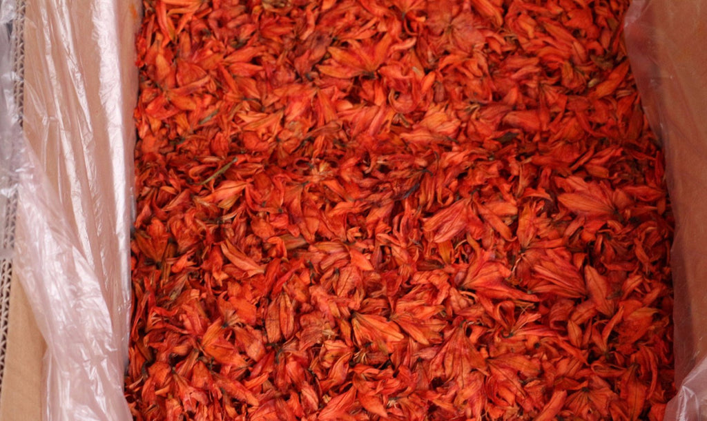 premium lilium flowers for herbal wellness