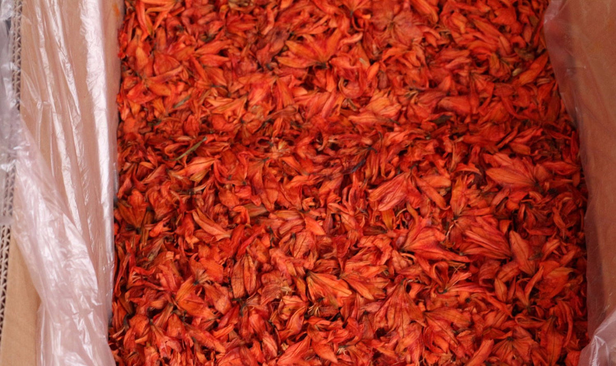 premium lilium flowers for herbal wellness