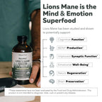 premium lion's mane extract 500 mg