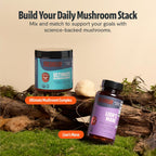 premium lion's mane extract capsules