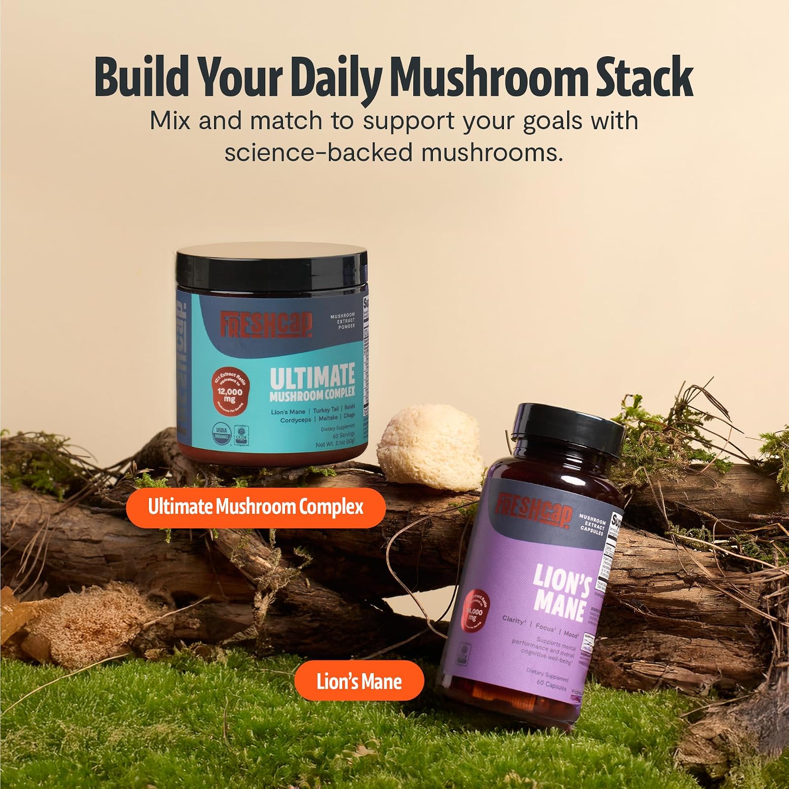 premium lion's mane extract capsules