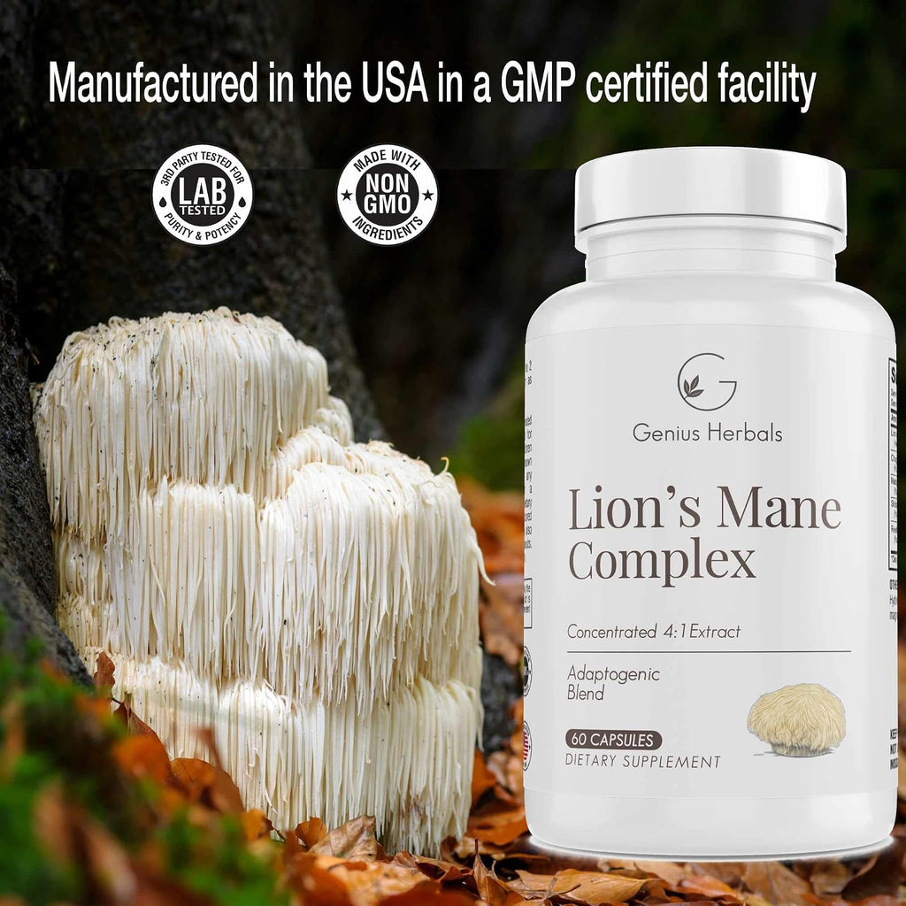 premium lion's mane extract for wellness