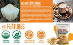 premium lion's mane mushroom extract