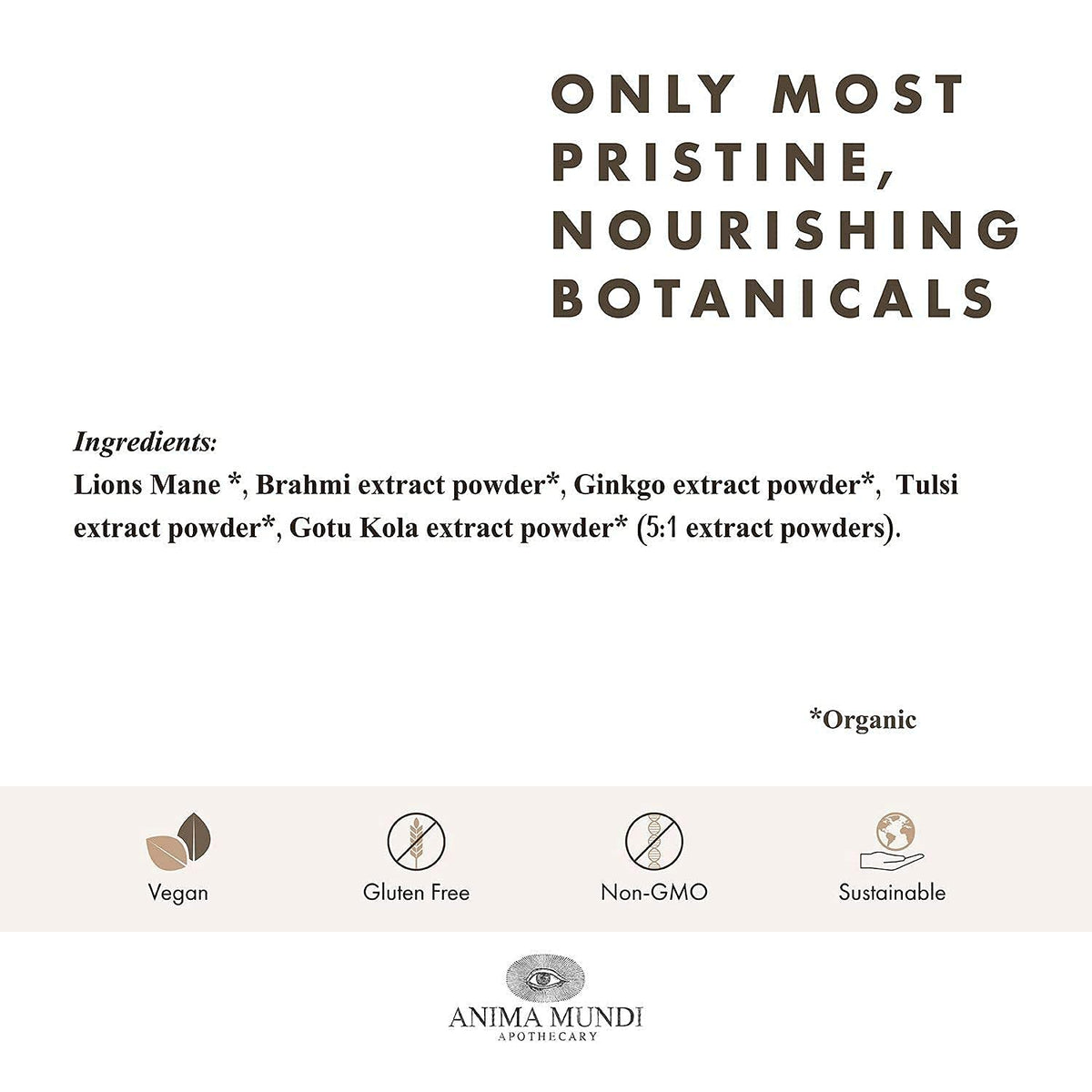 premium lion's mane mushroom supplement