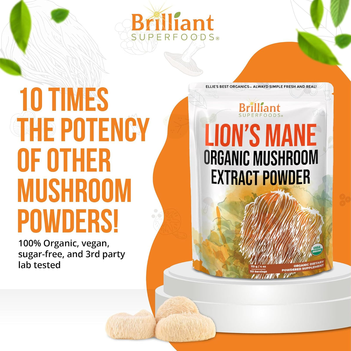 premium lion's mane mushroom supplement