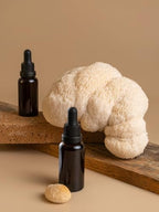 premium lion's mane mushrooms for smoothies