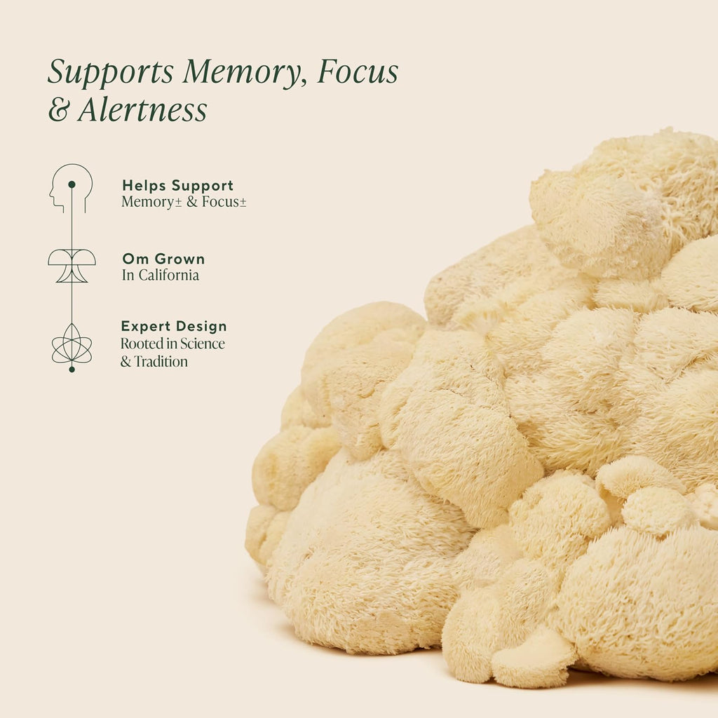 premium lion's mane supplement powder