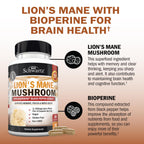 premium lion's mane supplement