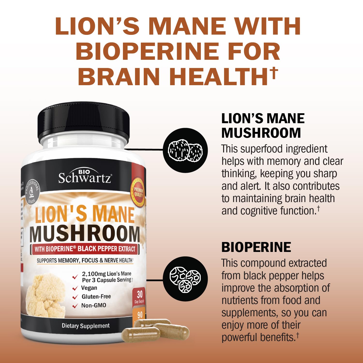 premium lion's mane supplement