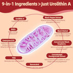 premium liposomal Urolithin A supplement